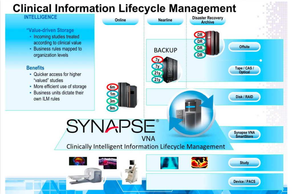 Synapse™ VNA. (11) 91640-1900 « whatsapp
